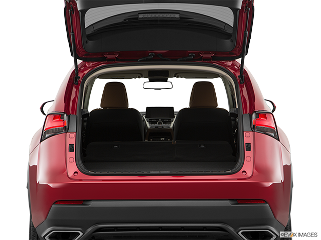 2019 Lexus NX 300: Price, Review, Photos and Specs - Read This Before ...