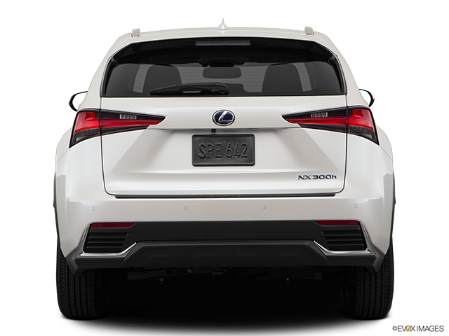 2019 Lexus NX 300h Base Trim: Price, Review, Photos (Canada) | Driving
