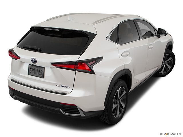 2019 Lexus NX 300h Base Trim: Price, Review, Photos (Canada) | Driving