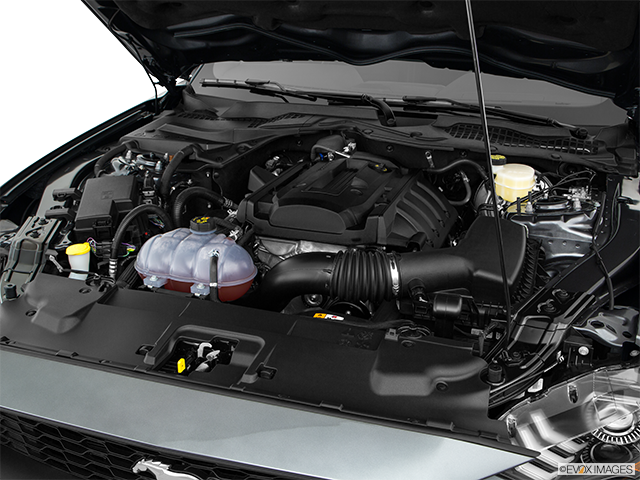 2019 Ford Mustang: Price, Review, Photos and Specs - Read This Before ...