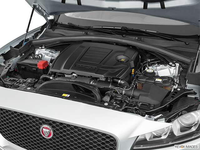 2019 Jaguar F-Pace: Reviews, Price, Specs, Photos and Trims | Driving.ca