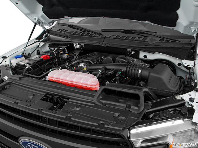 2019 Ford F-150: Reviews, Price, Specs, Photos and Trims | Driving.ca