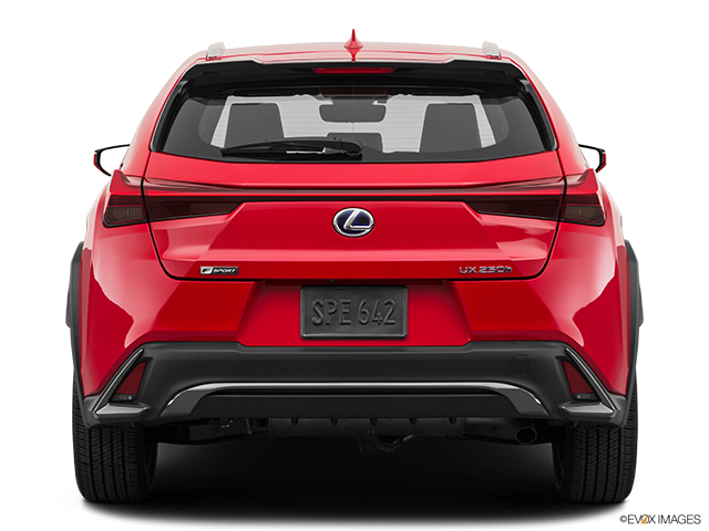2019 Lexus UX 250h: Price, Review, Photos and Specs - Read This Before ...