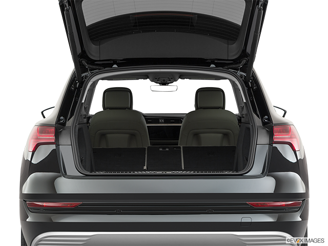 2019 Audi e-tron: Reviews, Price, Specs, Photos and Trims | Driving.ca