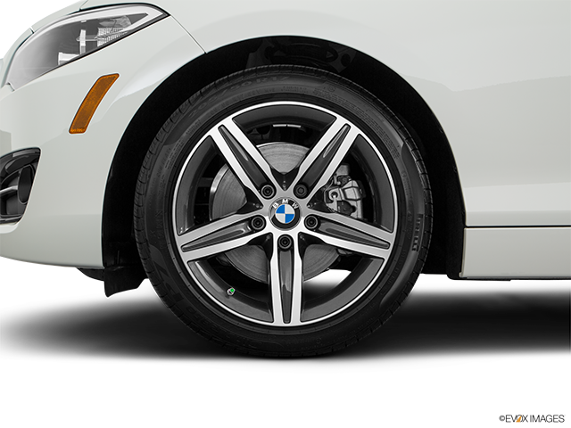 2017 BMW 2 Series: Price, Review, Photos and Specs - Read This Before ...