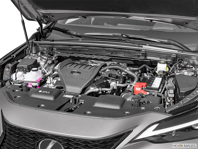 2024 Lexus NX 350 Premium: Price, Review, Photos (Canada) | Driving