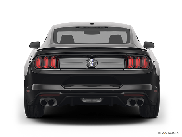 2023 Ford Mustang EcoBoost Fastback: Price, Review, Photos (Canada ...