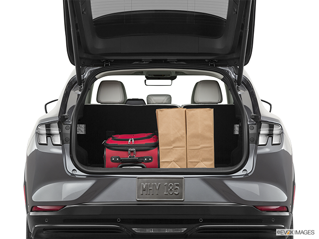 2025 Ford Mustang Mach-E: Price, Review, Photos and Specs (Canada ...