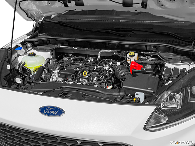 2023 Ford Escape Active FWD: Price, Review, Photos (Canada) | Driving