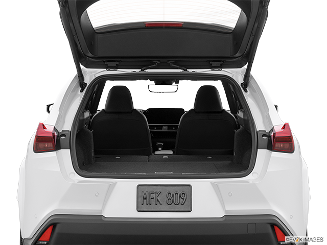 2024 Lexus UX 250h: Price, Review, Photos and Specs - Read This Before ...